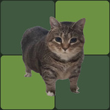 Meme Checkers (by Pelemenium Games): Play Online For Free On Playhop