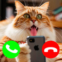 Snake: a call to meme cats (przez Sinnij kotik): Graj Online Za Darmo ...
