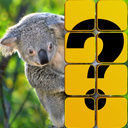 Guess the picture: Play Online For Free On Playhop