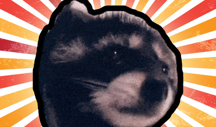 Pour les filles jeux En Ligne 💄 Jouer Gratuitement sur Playhop