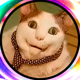 Memes and Music. Boo Scared, Hypnodence, Rose! (bossYG ...