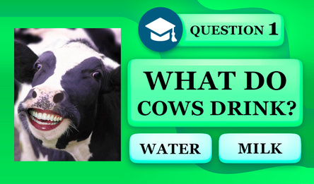 Quiz jeux En Ligne Jouer Gratuitement sur Playhop