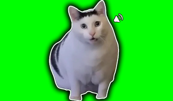 Cats Games Online: Play For Free On Playhop