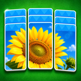 Pic - Sol: Collect the Picture: Jouez en ligne gratuitement sur Playhop