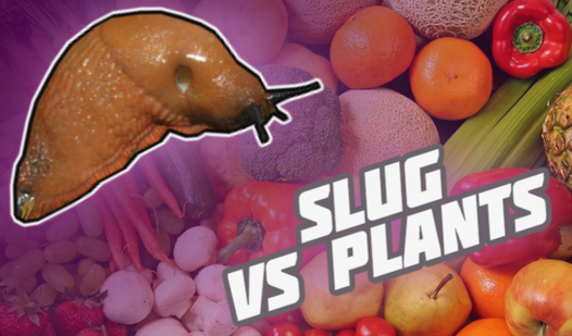 Slug VS Plants (by JASTCORE): Play Online For Free On Playhop