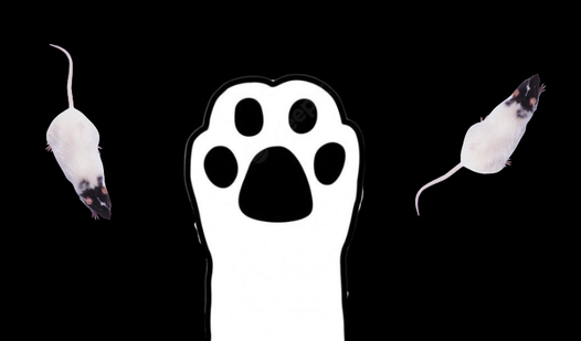 Game for cats - mad mice (by Blogproger): Play Online For Free On Playhop