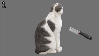 Pet the Cat! Watch Out, It Bites!: Play Online For Free On Playhop
