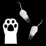 Game for cats - mad mice (by Blogproger): Play Online For Free On Playhop