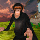 Monkey Fight (by Tsukuyomi1): Play Online For Free On Playhop