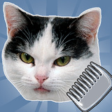 Comb it! While cat is not looking: Play Online For Free On Playhop
