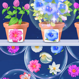 Flower Bubble: Merge & Match: Play Online For Free On Playhop