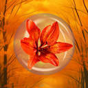 Connect the Flowers Game: Autumn Flowers (by Ashtray Studio): Play ...
