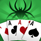 Spider Solitaire 2024: Play Online For Free On Playhop