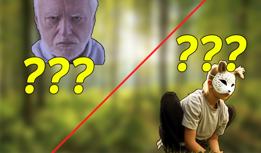 Quadrobists test: Juega Gratis Online en Playhop