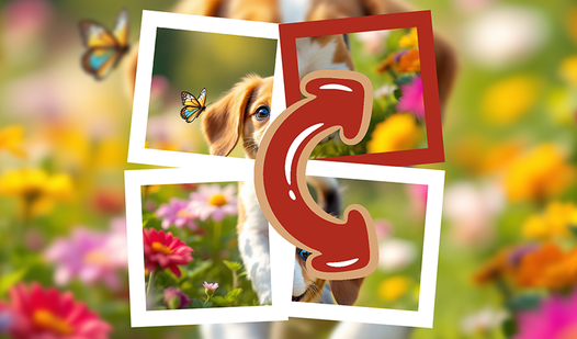 Mix Puzzle: Dogs （由 Thunder Games Show):网上免费玩 Playhop