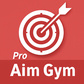 Pro Aim Gym (por Kifflom): Juega Gratis Online en Playhop