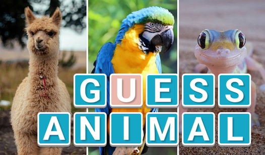 Guess Animal (by XCreative): Play Online For Free On Playhop