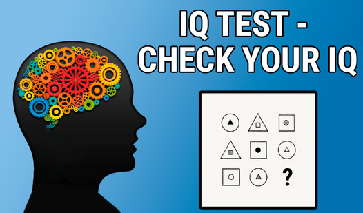 IQ test - check your IQ (by Adomori): Play Online For Free On Playhop