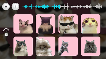 Chipi Chipi Cat | Play your way (by Chariot Games): Play Online For ...