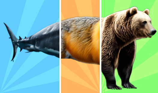 Animal Connection Laboratory (by LongCourse): Play Online For Free On ...