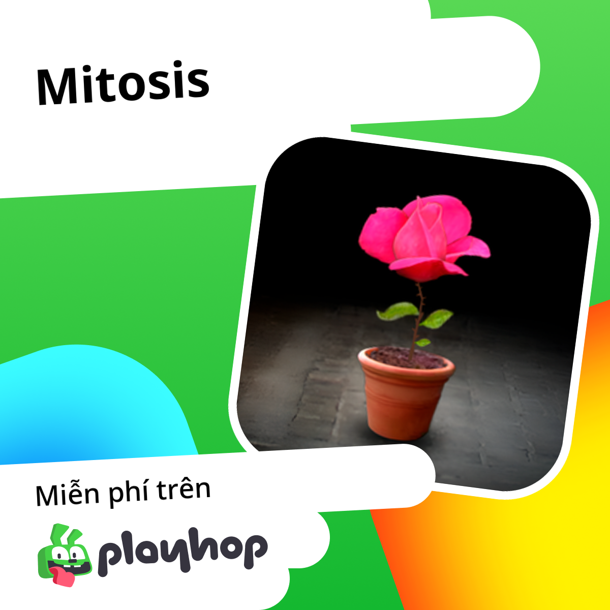 Mitosis (bởi Northman Games): Chơi Trực Tuyến Miễn Phí Trên Playhop